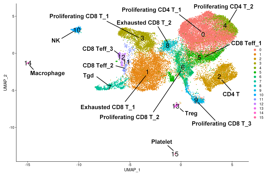 シングルセルRNA-seq解析 | 受託サービス | 株式会社ジエンブル